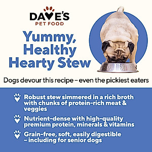 Dave's Pet Food Grain Free Wet Dog Food (Turkey & Sweet Potato in Gravy), Made in USA Naturally Healthy Canned Dog Food, Added Vitamins & Minerals, Wheat & Gluten-Free, 13.2 oz Cans (Case of 12)