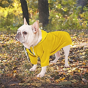 Dog Raincoat Puppy rain Jacket with Hood for Small Medium Breeds with Reflective Strap Storage Pocket Harness Hole Yellow S