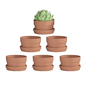 Fcacti 6 Pack 5 Inch Terracotta Shallow Succulent Pot - Terra Cotta Clay Pots with Saucer, Round Shallow Terra-Cotta Bonsai Pot with Drainage Hole for Indoor/Outdoor Plants