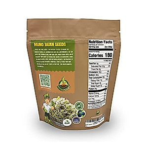 Todd’s Seeds - Mung Bean Sprouting Seed - Mung Bean Seeds - Chinese Green Bean - 1 Pound Bulk Seeds