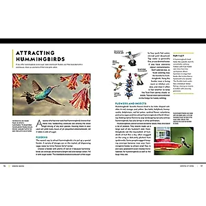 National Geographic Birding Basics: Tips, Tools, and Techniques for Great Bird-watching