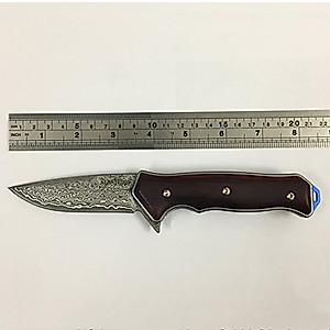 ALBATROSS HGDK001 EDC Classic Damascus Folding Camping Pocket Knives With Liner Lock,Cocobolo Wood Handle,Gifts/Collections