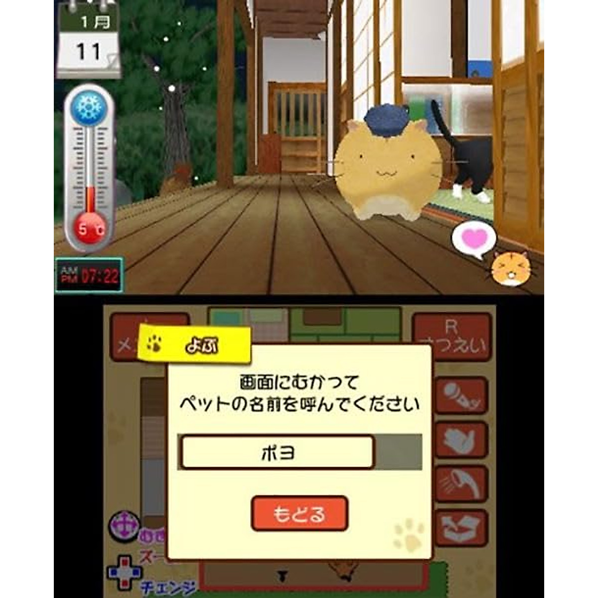 Poyo Poyo Kansatsu Nikki [Tokusouhan] [Japan Import]