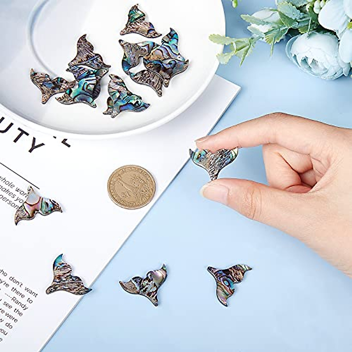 BENECREAT 16PCS Natural Abalone Shell Fishtail Abalone Shell Beads with Storage Containers for DIY Jewelry Making