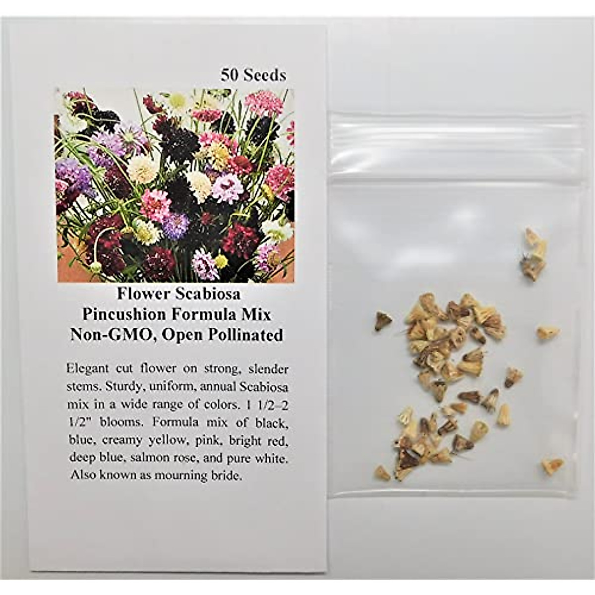 David's Garden Seeds Flower Scabiosa Pincushion Formula Mix 4222 (Multi) 50 Non-GMO, Heirloom Seeds