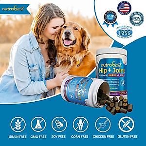 NUTRACHEWZ Grain Free Hip & Joint Supplement for Dogs with Organic Hemp Oil, Glucosamine Chondroitin, Turmeric, MSM, Green Lipped Mussel for Arthritis, Pain Relief, Mobility All Natural - 120 Chews