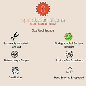Natural Sea Wool Sponge 4-5" by Spa Destinations ® Amazing Natural Renewable Resource Creating The in Perfect Bath and Shower Experience