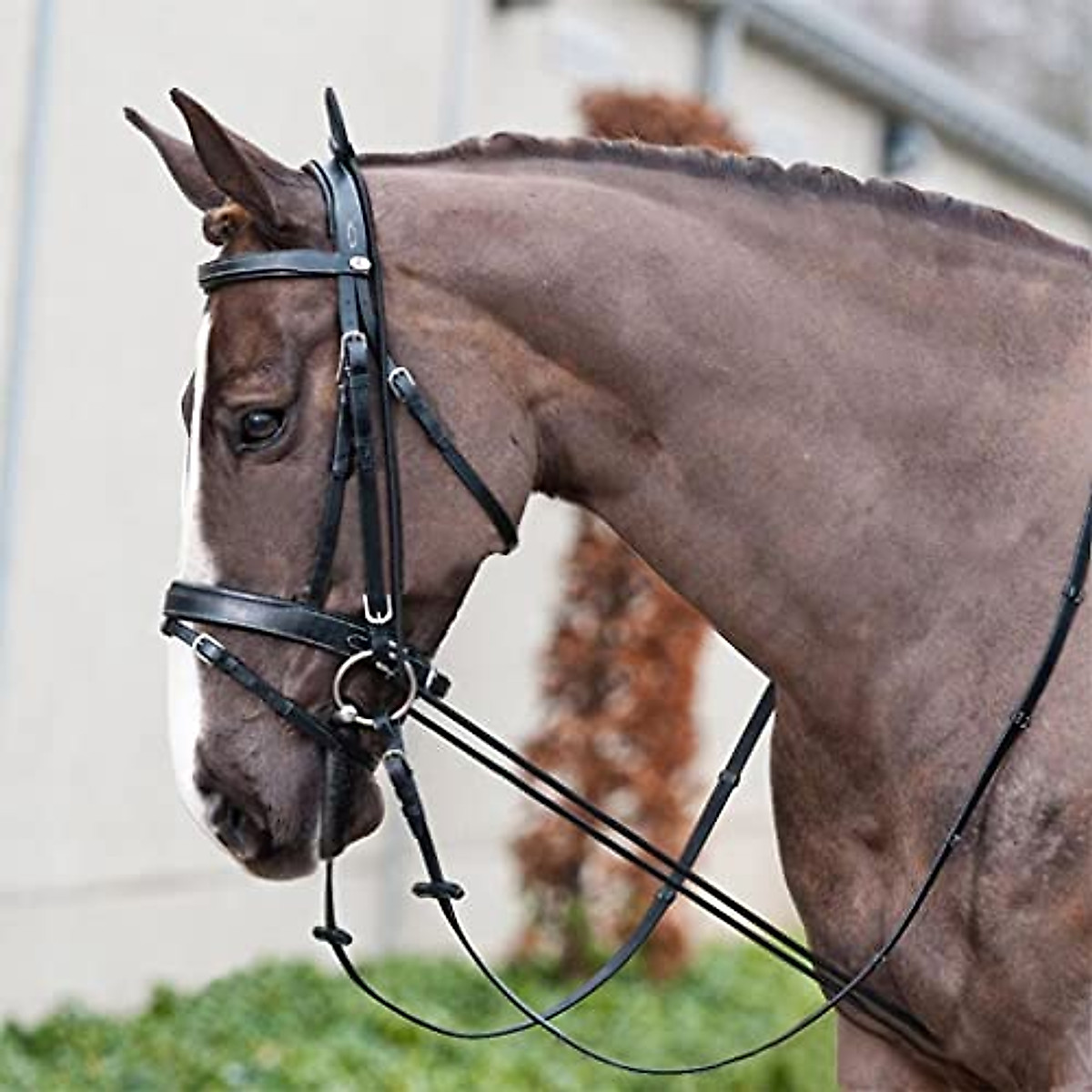 N/A Horse Riding Bridle Halters Elastic Horse Neck Stretcher Horse Rein Racing Equipment Equestrian Supplies Training Tool