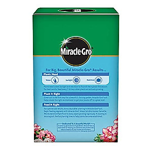 Miracle-Gro 1000701 Pound (Fertilizer for Acid Loving Plant Food for Azaleas, Camellias, and Rhododendrons, 1.5, 1.5 lb