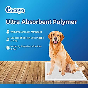 COCOYO Best Value Dog Training Pads, 22" by 22", 200 Count, BLUE