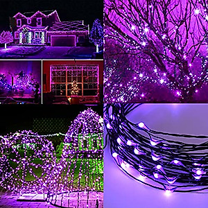 Twinkle Star 33 FT 120 LED Outdoor Solar String Lights, Solar Powered Halloween Decorative Fairy Lights with 8 Modes, Waterproof Black Wire Light Christmas Patio Yard Wedding Party, Purple, 2 Pack