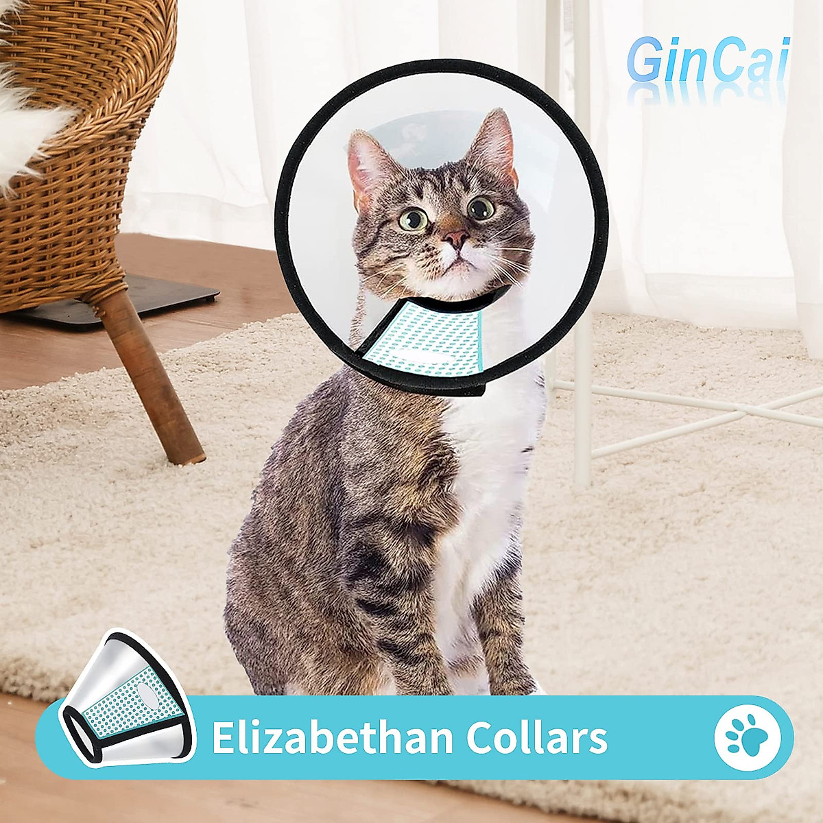 GinCai，Cat Cone, Adjustable Recovery Pet Cone, 5.9~15.7 Inches Lightweight Plastic Elizabethan Collar for Cats, Miniature Dogs and Rabbits (Black) (No. 3, Neck 13-14.7In)