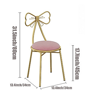 DUANY STORE Makeup Vanity Girl Chairs Stool for Bedroom with Bow Knot Backrest,Side Table Seat Dressing Chair with Golden Metal Leg,Velvet Cushion for Girl Daughter Room