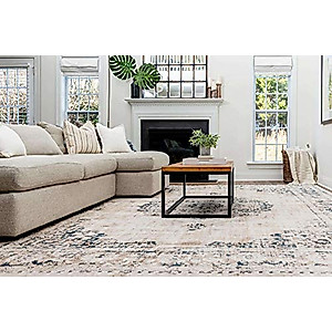 Unique Loom Leila Collection Traditional, Distressed, Medallion, Border, High-Low Pile, Vintage Area Rug, 3' 3" x 5' 3", Tan/Navy Blue
