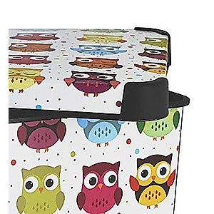 Curver Stockholm Owls Deco Storage Box Multi Colour, 22 Litre