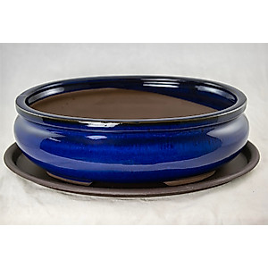Calibonsai Oval Glazed Bonsai / Succulent Pot + Tray + Mesh 12''x 8.5''x 3.75'' - Dark Blue