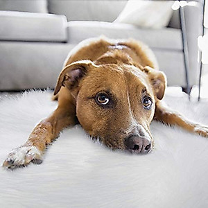 RosieLily Ultra Soft 1.3 x 2 Feet Faux Fur Rug, Fluffy Shaggy Area Rug Sheepskin Fur Rug, White Fuzzy Rug Machine Washable Shag Rug, Nursery Decor Throw Rugs Carpet for Bedroom, Kids Room, Living Room