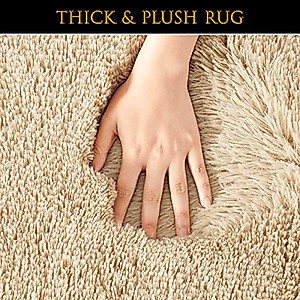 Pacapet Fluffy Area Rugs, Beige Shag Rug for Bedroom, Plush Furry Rugs for Living Room, Fuzzy Carpet for Kid's Room, Nursery, Home Decor, 3 x 5 Feet
