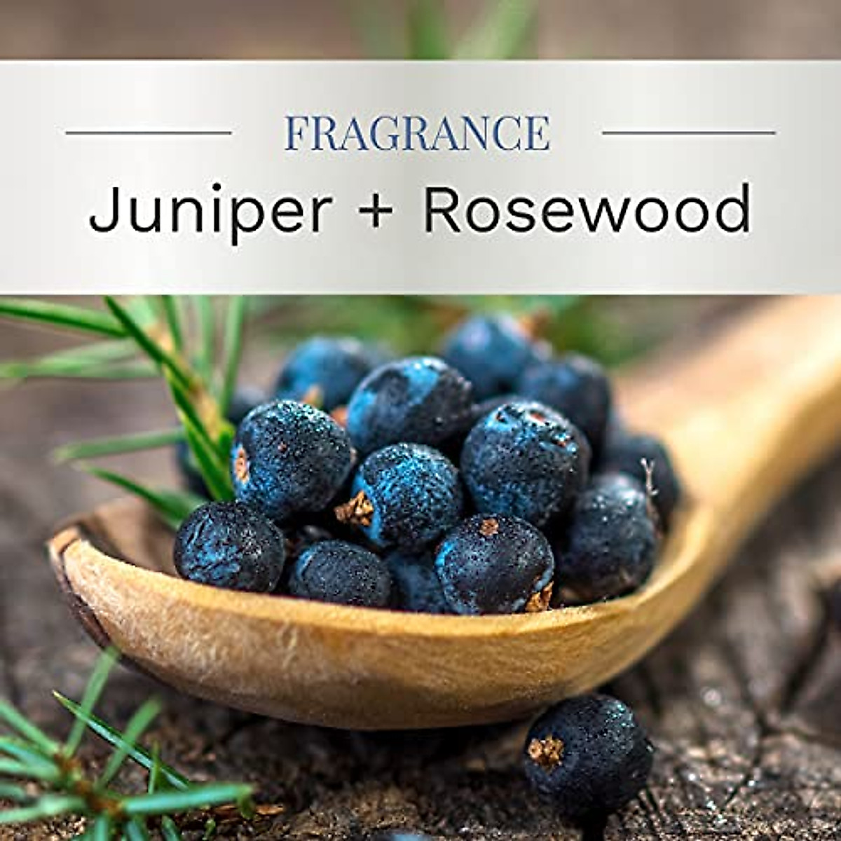 Essential Elements by Candle-lite Scented Candles Juniper & Rosewood Fragrance, One 9 oz. Single-Wick Aromatherapy Candle with 50 Hours of Burn Time, Off-White Color