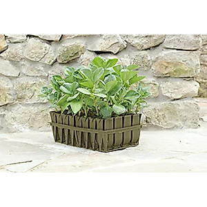 Tierra Garden 50-9000 Haxnicks Rootrainers Seed and Cutting Propagation Kit - Deep