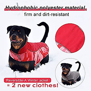 Warm Dog Jacket Reversible Fleece Winter Dog Vest for Cold Weather, Waterproof Windproof Dog Winter Coat Reflective with Magic Strip&Furry Collar for Small Medium Large Breeds Dogs Puppies Cat Pet