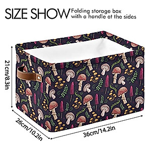 Kigai Collapsible Storage Basket with Handles, Mushroom Pattern Canvas Fabric Storage Bins Toys Clothes Organizer for Bedroom, Nursery, Shelves, Closets (1PACK)