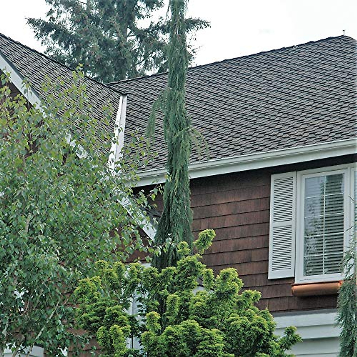 2815 Super Anchor Safety RetroFit Permanent Roof Anchor