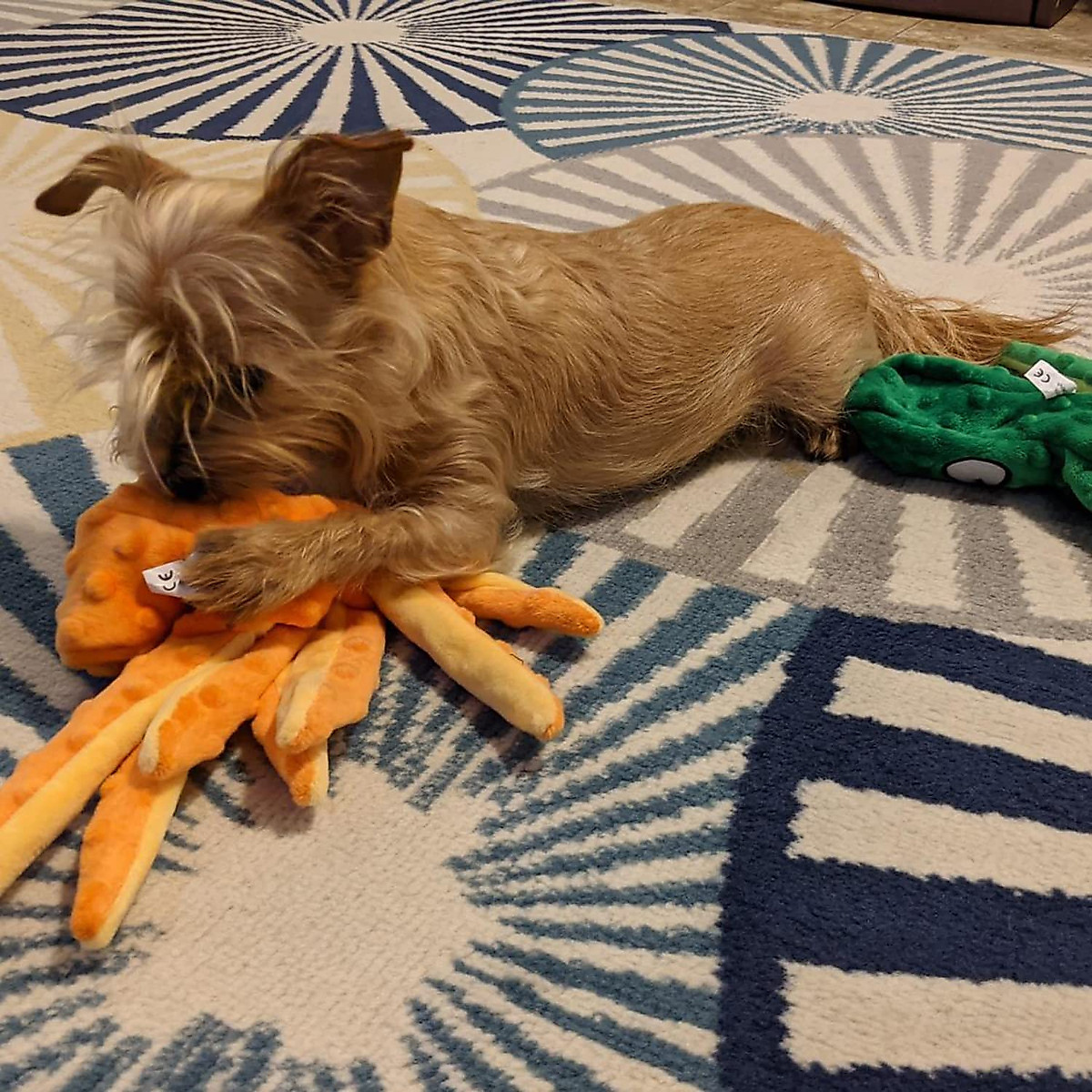 PLEACCOM Dog Squeaky Toys Octopus, No Stuffing Crinkle Plush Dog Toys for Puppy Teething, Durable Interactive Dog Chew Toys for Small to Medium Dogs Training and Reduce Boredom (2 Pack)