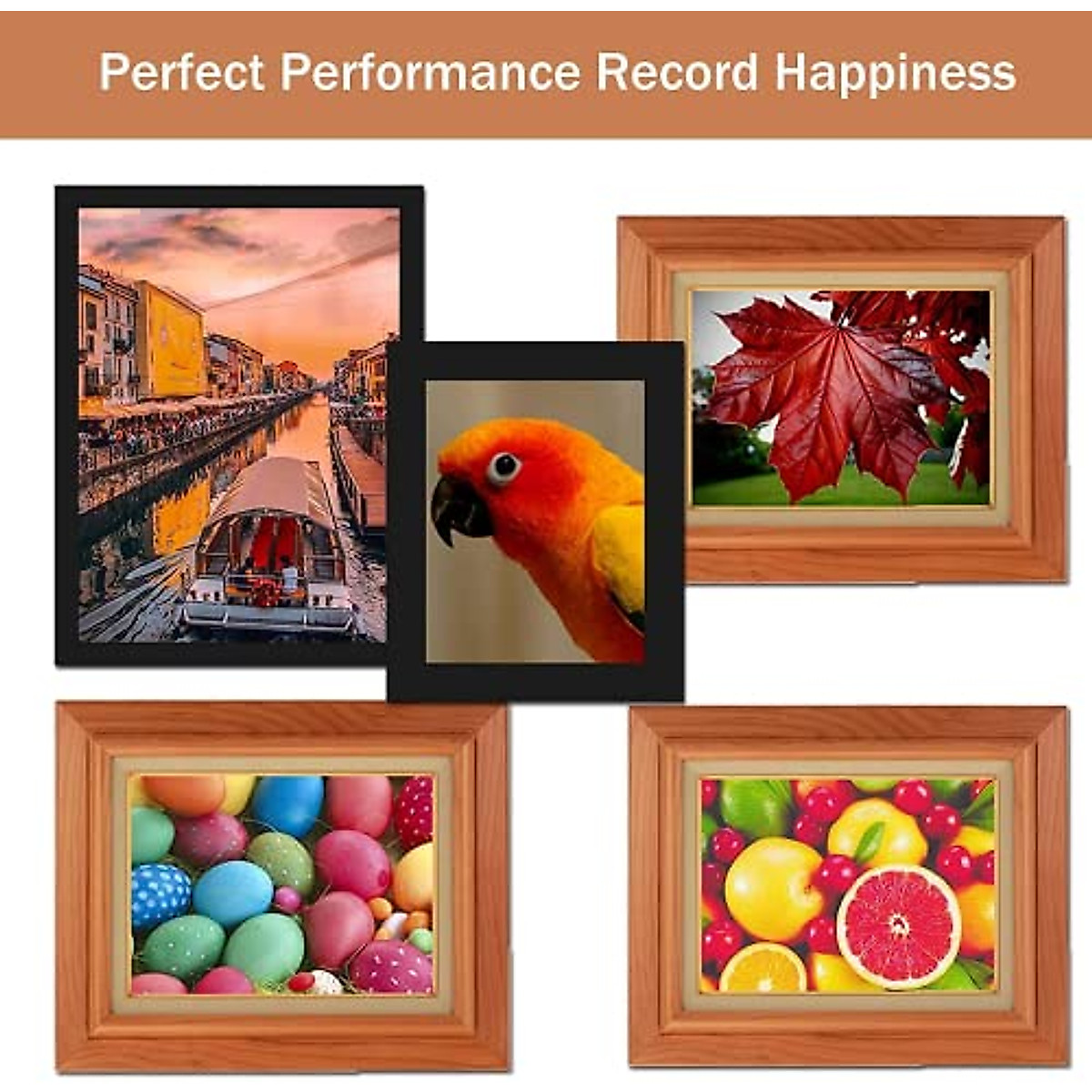 4-Pack(1BK+1C+1M+1Y) Compatible DR223CL Drum Unit Replacement for Brother DR-223CL DR223 Drum Works with Brother MFC-l3770CDW MFC-l3750CDW HL-l3290CDW HL-l3270CDW HL-l3210CDW Printer