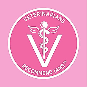 IAMS PROACTIVE HEALTH Adult Sensitive Digestion & Skin, Dry Cat Food with Turkey Cat Kibble, 13 lb. Bag