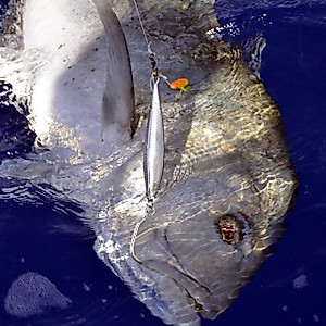 Circle Ringed Hooks, 10Pcs Fishing Hooks Saltwater Heavy Duty Big Game Hook for Tuna, Heavy Tackle Fishing Hook with Action Ring