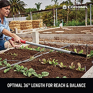 Corona GT 3244 Extended Reach Hoe and Cultivator, Gray