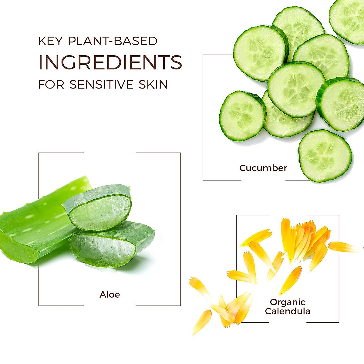 Babo Botanicals Swim & Sport 3-in-1 Face, Hand & Body Cleansing Wipes - with Natural Cucumber & Aloe Vera, Cucumber Aloe - For Babies, Kids or Extra Sensitive Skin - 30 ct