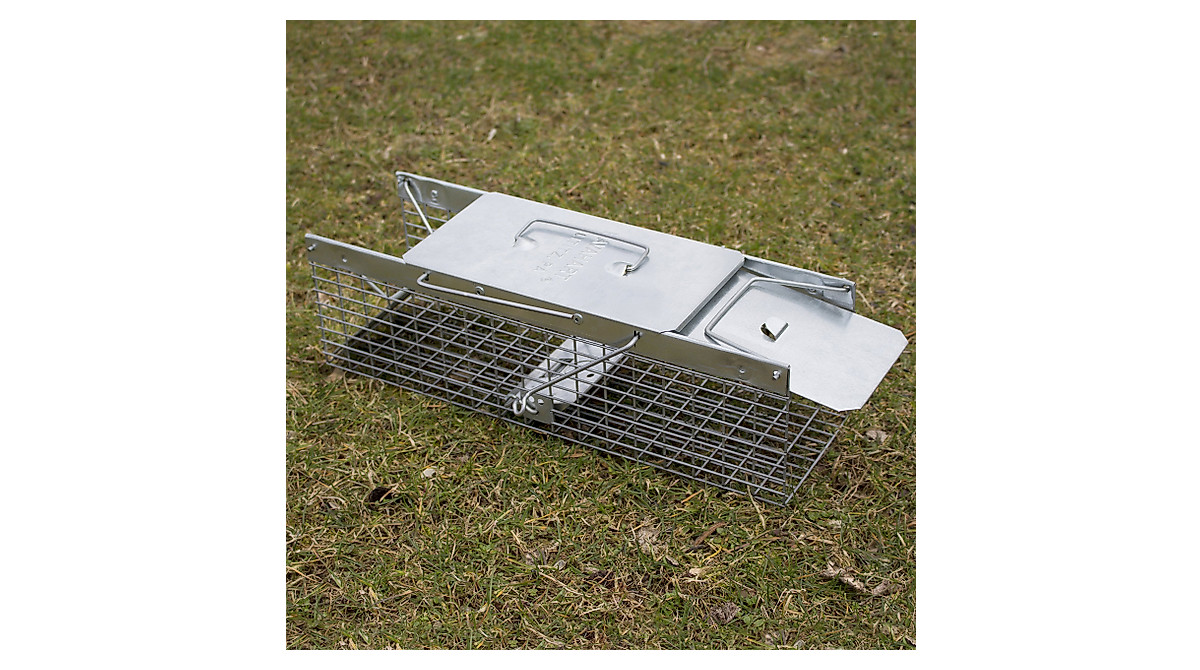 Havahart 1025 Small 2-Door Humane Animal Trap - Safe & Effective