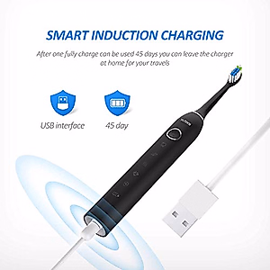 TLOVII Electric Toothbrush Replacement Heads Refill, 2 Count