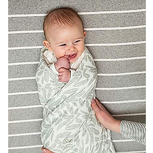 Burt's Bees Baby - HM25785 - Swaddles, Muslin Cotton Baby Blankets, 3-Pack, 47" x 47", Multipurpose Lightweight & Breathable 100% Organic Cotton (Dottie Bee)