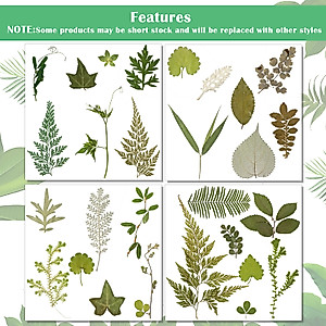 TimTin 84 Pieces Dried Pressed Leaves Dried Flowers Resin Dried Leaves Resin Mini Dried Flowers Crafts Dried Greenery Assorted Dried Leaves Art DIY Handmade Bookmarks 4 Bags (Vivid Style)