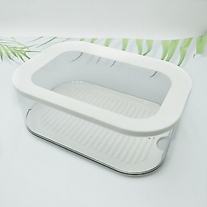 Generic Deli Meat Container for Fridge,Meat Pieces Storage Box,Food Storage Boxes with Lid,Cheese Keeper Box,Portable Meat Container(1 Tier Storage Box), AM0XEB0KQWAUS