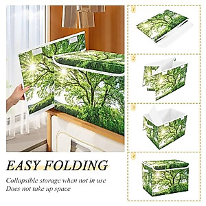 DIGTIA Storage Bins with Lids Majestic Green Tree Foldable Storage Boxes with Handles Sun Shines Large Storage Basket Collapsible Organizer Containers for Closet Home Bedroom Office