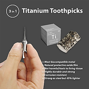 Titanium Toothpick with Holder, 100% Titanium Alloy Keychain Toothpick,Titanium EDC toothpick Tools 5-in-1, Bottle Opener, Box Opener, Mini Cutter, Car Window Breaker, Titanium Gifts for Men and Women