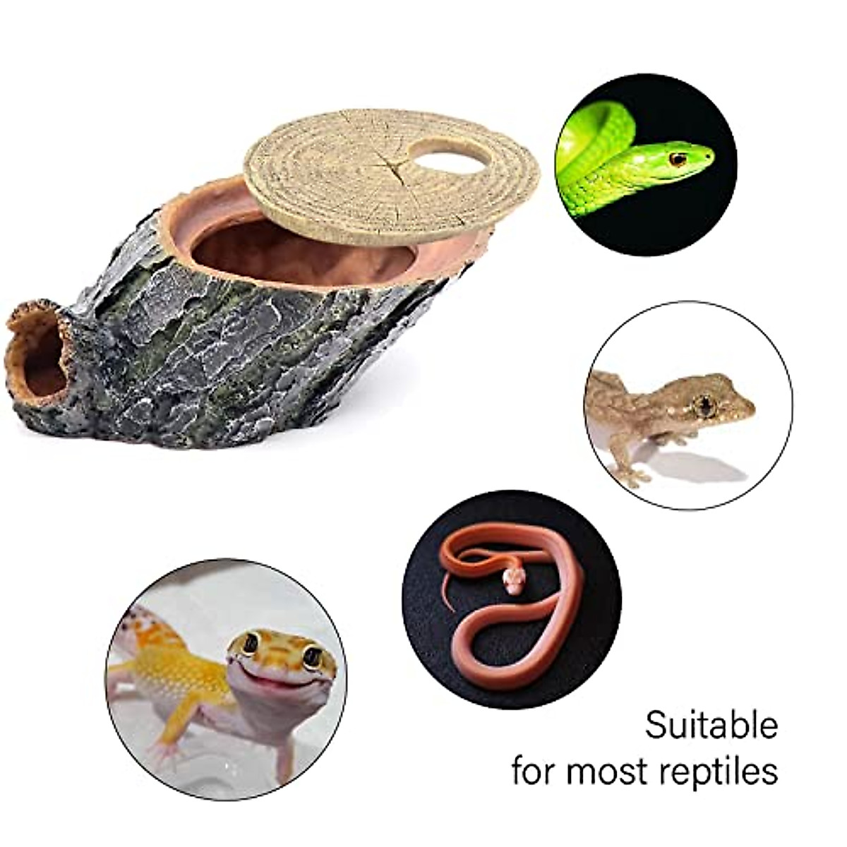 Snake Hide and Basking Tree Roots Cave for Terrariums, Available for Climbing and Hiding Spots for Reptiles, Amphibians, and Small Animals, Corn Snake, Green Snake and Small Gecko