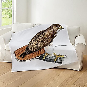 CafePress Red Tailed Hawk Bird Throw Blanket Super Soft Fleece Plush Throw Blanket, 60"x50"