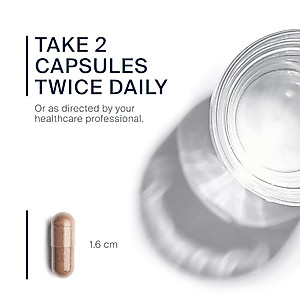 Vital Nutrients - Coleus Forskohlii 10% - Cardiovascular Support - Muscle Relaxation - 60 Vegetarian Capsules per Bottle - 90 mg