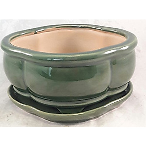 Bonsai Tree Pot creative design green 6 Inch Bonsai Pots with Trays- unique from Jmbamboo