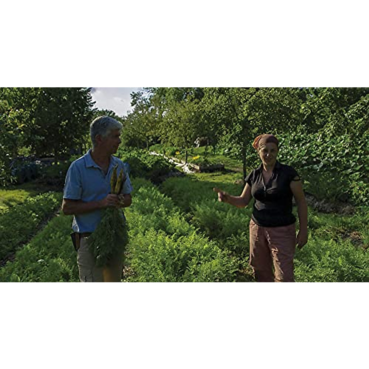 DEMAIN (DVD) (France TV) (French Edition)