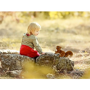 Ice King Bear Reaistic Red Squirrel Stuffed Animal Plush Toy (Original)