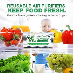 Fridge Deodorizer (5 Pack) Natural and Unscented Activated Charcoal Refrigerator Deodorizer - Fridge Odor Eliminator for Freezers, Coolers, and Lunch Boxes