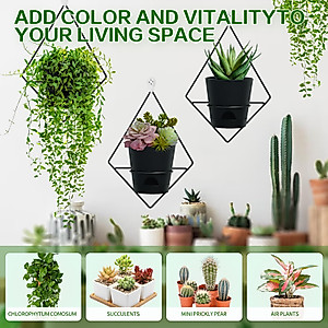 Koalaime 3 Sets of Wall Planters for Indoor Plants, Hanging Wall Planter with Black Metal Holder, Geometric Self Watering Wall Flower Pots, Wall Mounted Succulent Planter, 5" Black Plant Pot