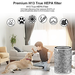 NXBHG 2 Pack HP201 Replacement Filter Compatible with Shark HP201, HP202, UA205, AP1000 and for Shark HC501, HC502 Air Purifier MAX, Absorb 99.97% Particulate, Compare Part HE2FKBASMB, HE2FKBAS.