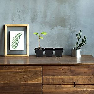 Ziqi 60pcs Plastic Square Nursery Pot (Black) Thick Plastic Square Flower Planting Pots with Drainage Hole for Seed Germination, Seed Starting Pots, Modern Decorative Flower Pot